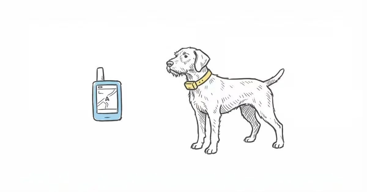Garmin Alpha 10 Review: Best Lightweight Dog Tracker?
